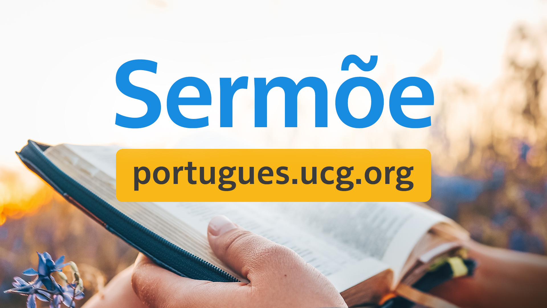 Romanos 8:15-22 - A Obra do Espírito Santo | A Igreja de Deus Unida